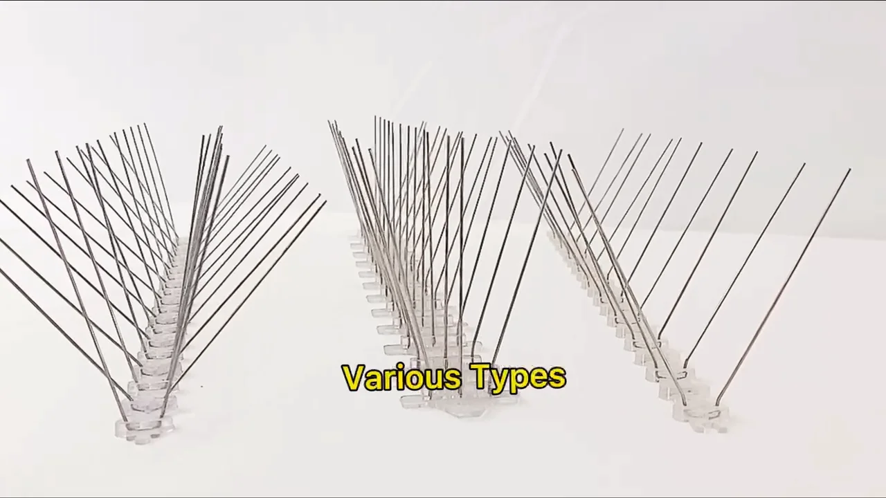 50cm Bird Spike Control Anti Bird And Pigeons Spikes - Buy Plastic Bird ...