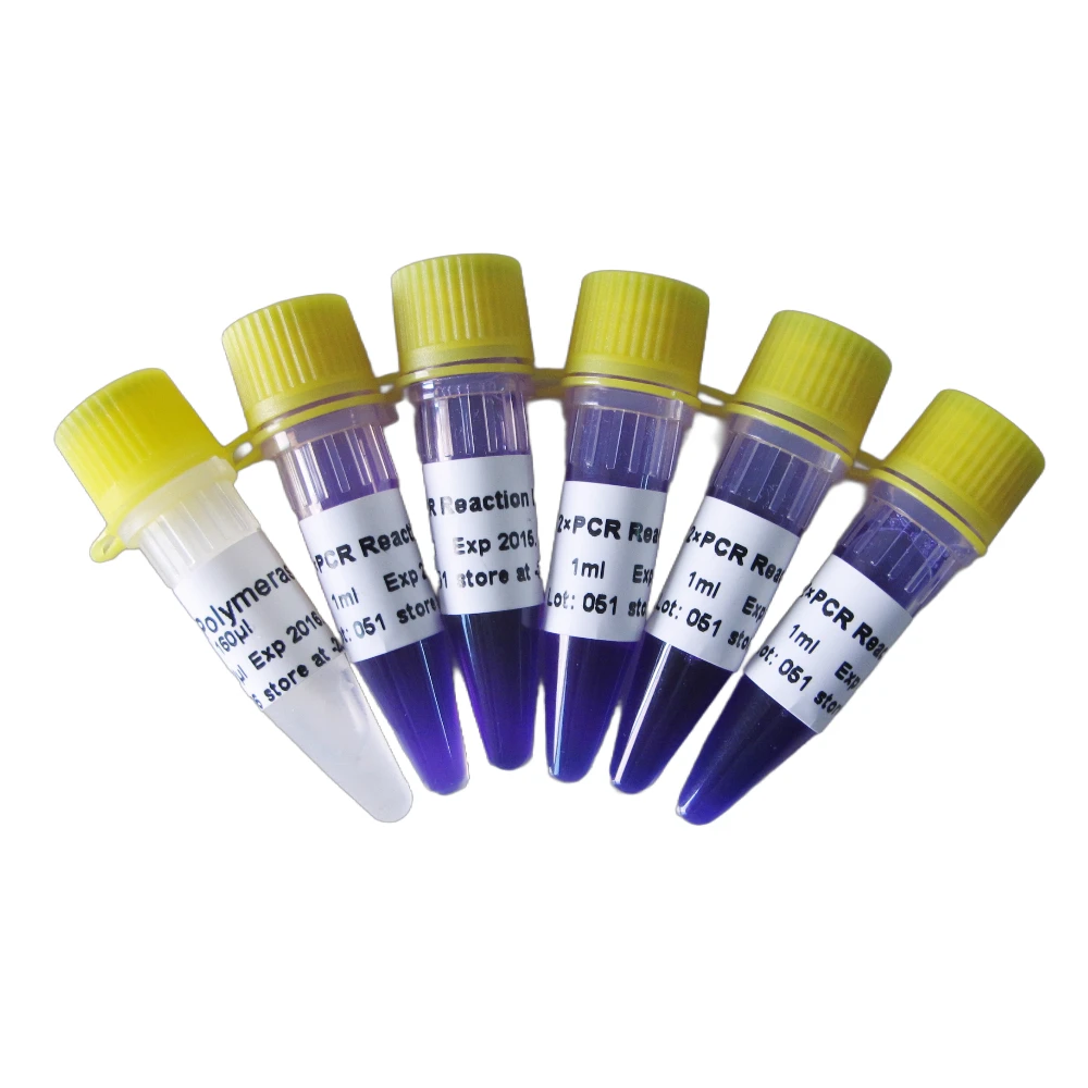 Jual Reagen PCR - Quality PCR Kits for Reliable Results