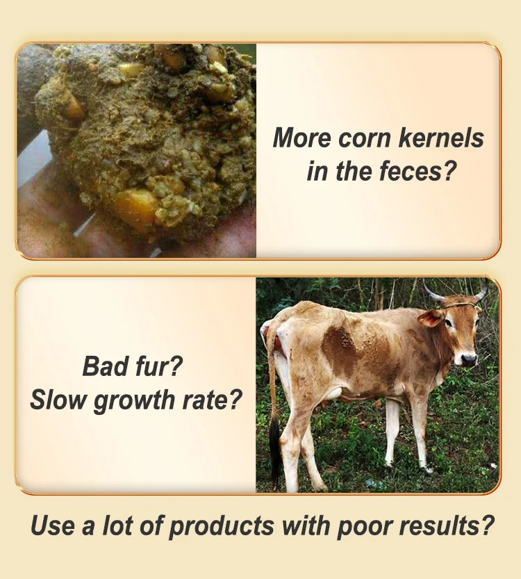 High Quality Cattle Sheep Goat Cow Growth Booster Fast Weight Increasing Premix Feed Additive ...