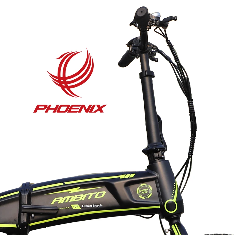 Phoenix Electric Bicycle Electric Fat Tire Bike 20 Inch 7 Speed ...