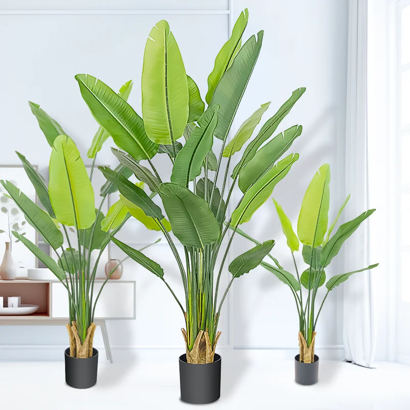 Shop High Quality Outdoor Plants - Perfect for Any Garden