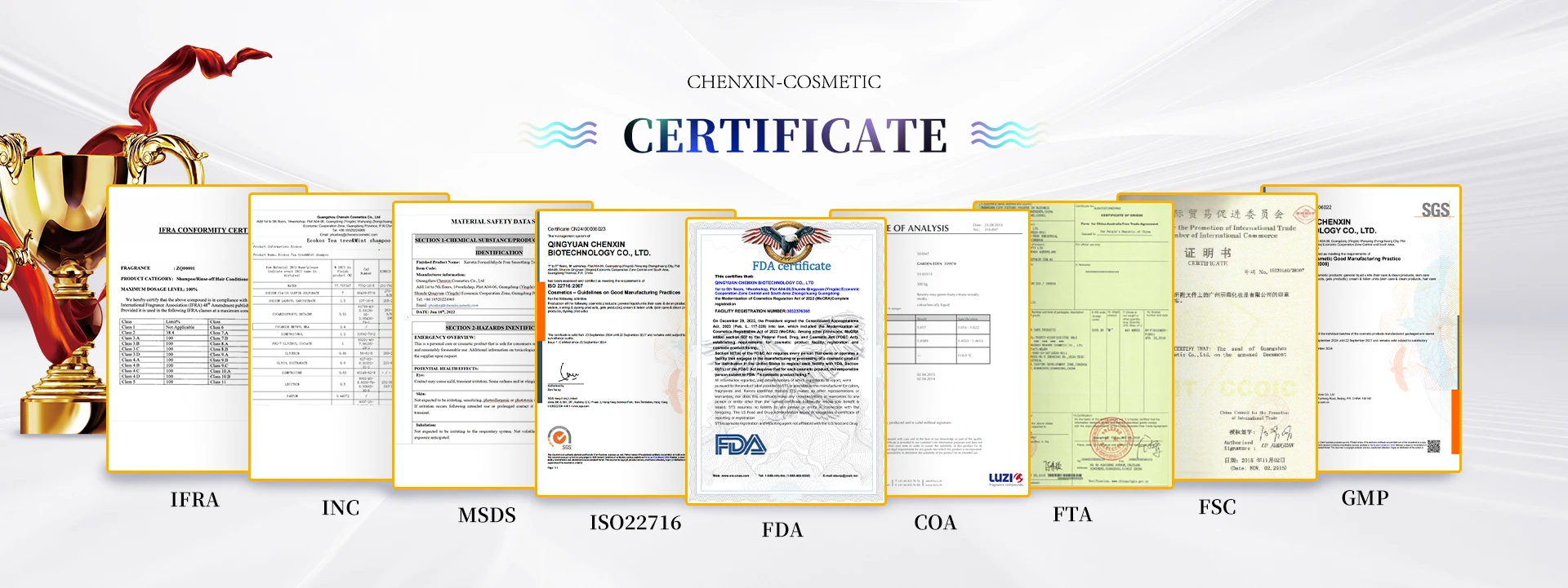 Company Overview - Guangzhou Chenxin Cosmetic Co., Ltd.