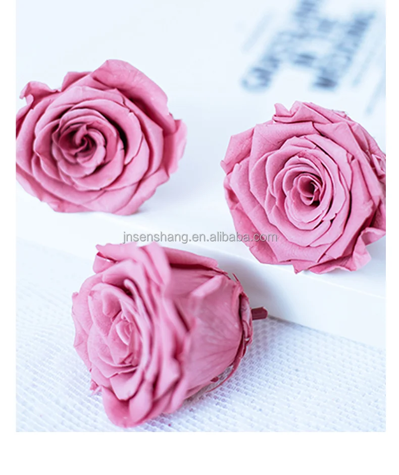 High Quality Preserved Roses 2-3 Cm Forever Roses Preserved Roses - Buy ...