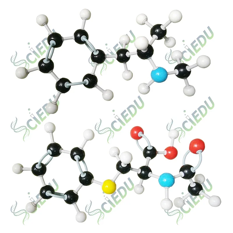Comprehensive Chemistry Molecular Model Kit - STEM Set