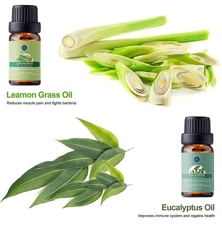 100% Organic Essential Oils Therapeutic Grade Oils Top 6 Aroma ...