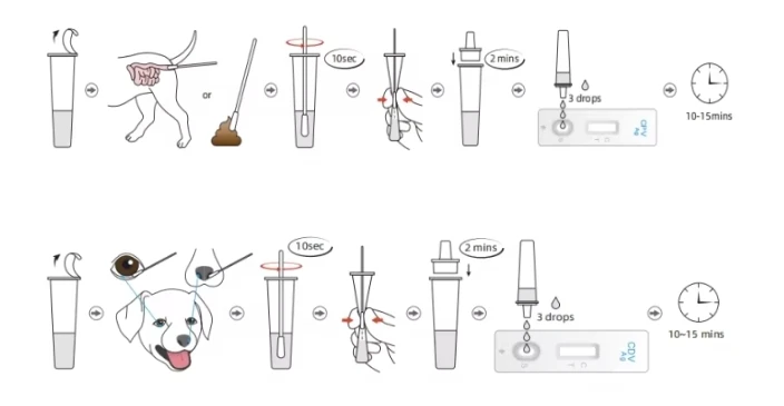 Vericare Canine Leptospirosis Antibody Rapid Test Kit Lepto Ab| Alibaba.com
