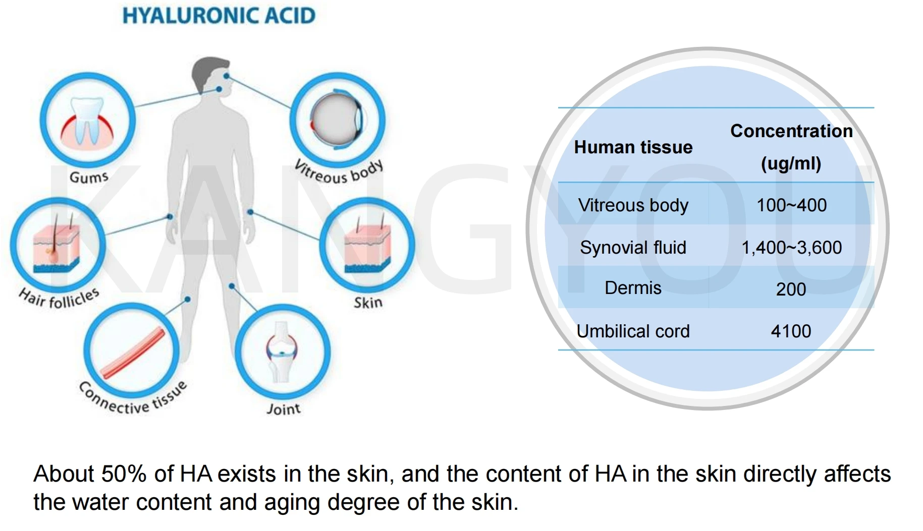 Raw Material Skin Care Sodium Hyaluronate Price Food Grade Hyaluronic ...