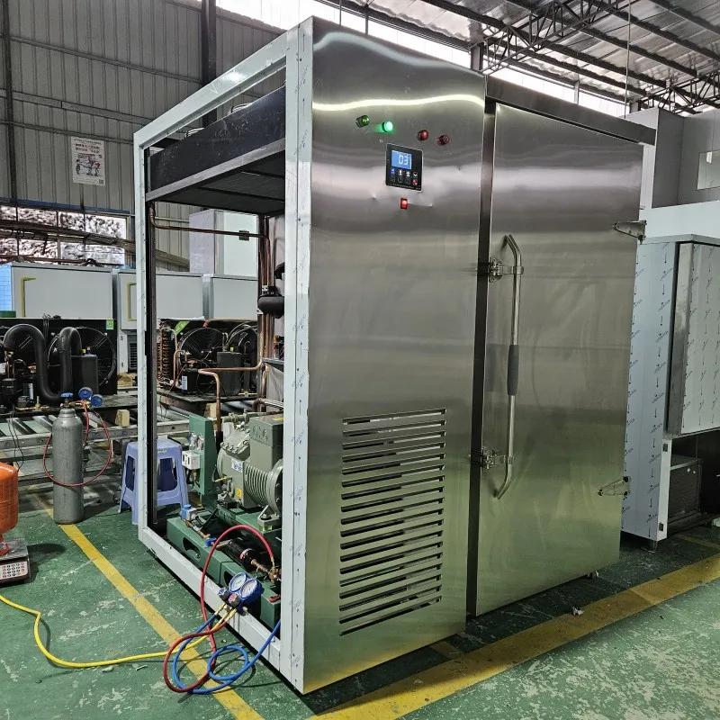 Commercial Blast Chiller Freezer/blast Chiller Shock Freezer/shock ...