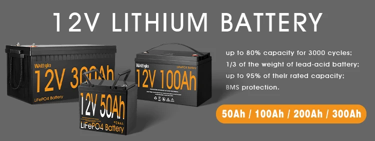 Oem Custom Lithium Battery 12v 100ah 150ah 200ah 300ah 400ah Lifepo4 ...