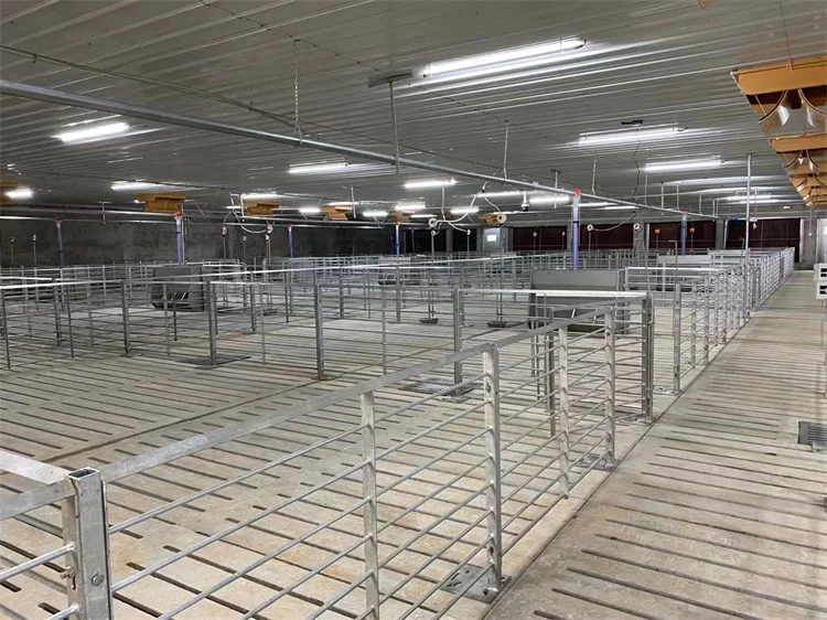 Customized Pig Gestation Stainless Steel Farrowing Crates
