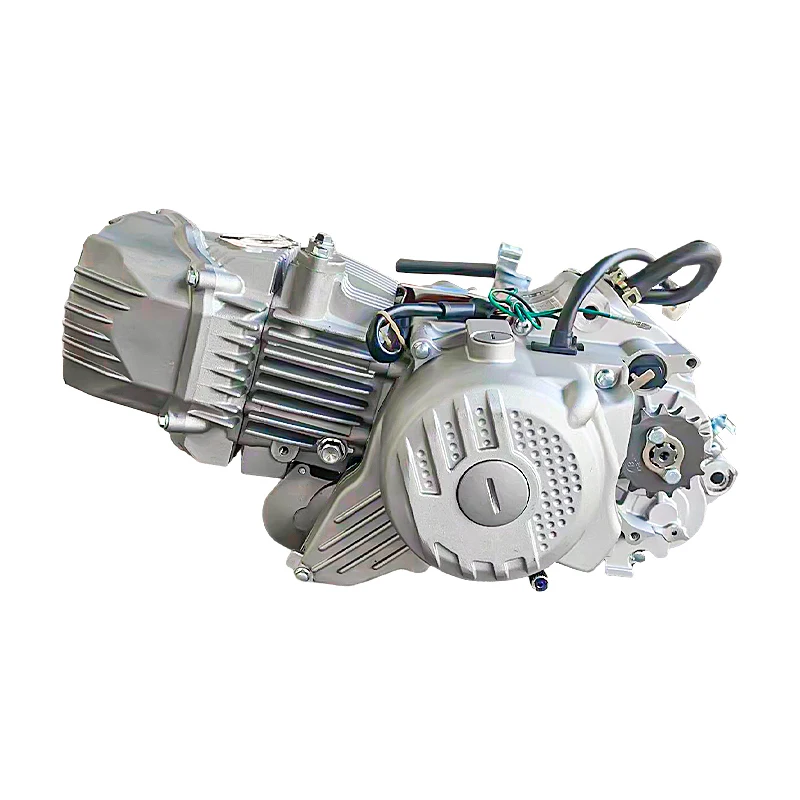 Motorcycle Horizontal Engine Zongshen W190cc Zongshen 190cc 5-speed ...