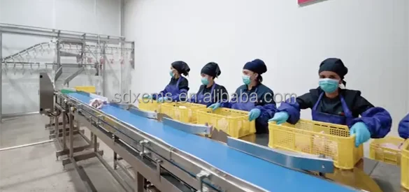 Spin Chiller - Efficient Poultry Pre-Cooling Solutions