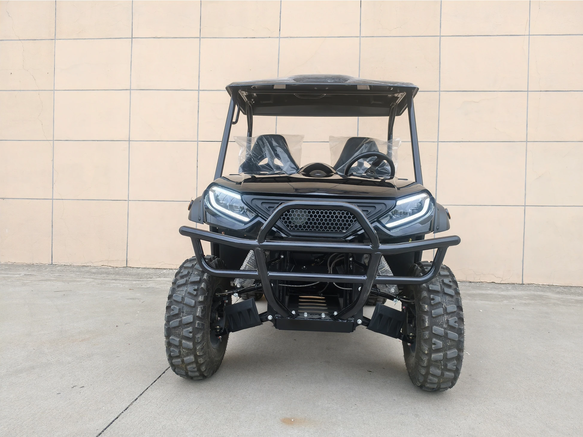 2 Seater EEC Manufacturer Certified Automatic Electric UTV 4x4 with ...
