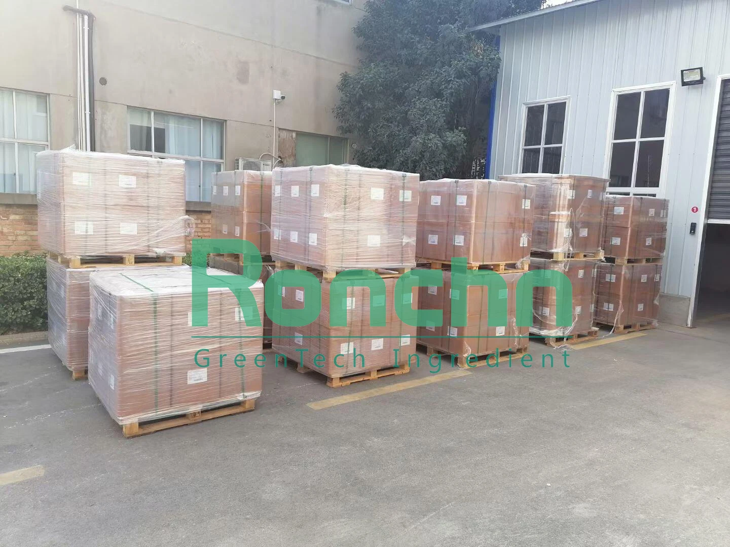 Kigelia Africana Powder Kigelia Africana Root Extract 10:1kigelia ...