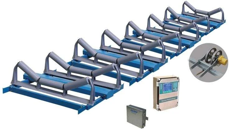 ICS-17A Digital Fresh Food Checkweigher - Industrial Scale