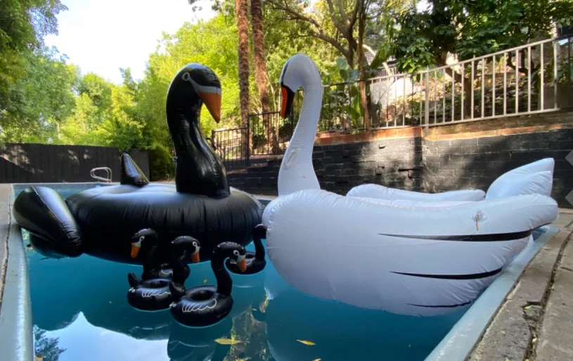 Pool Float Black Swan Inflatable Pool Party Toy Swimming Pool ...