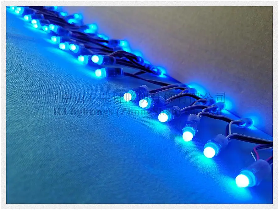 Waterproof Ip67 Ws 2811 Led Pixel Light Module Exposed Light String ...