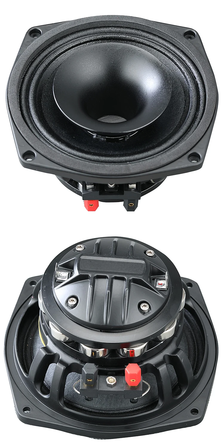 6.5 Coaxial Speaker - Professional Stage Audio Line Array