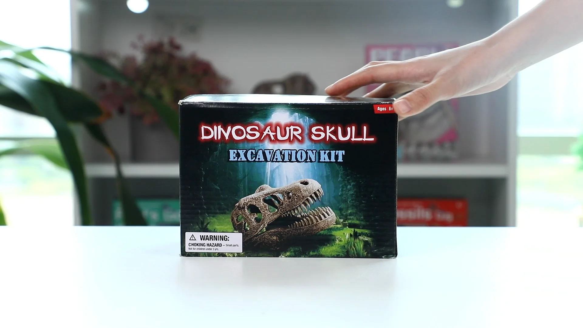 High Quality Dinosaur Skull Excavation Kit Dino Dig Up Kit Head ...