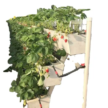 Soilless Cultivation Planting Trough A Shape Substrate Culture For ...
