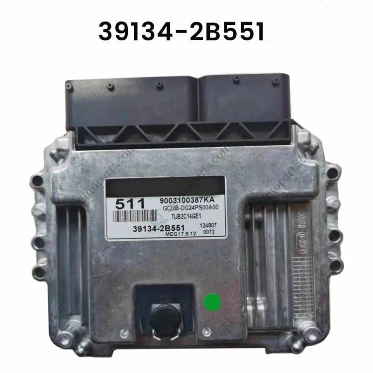 Cg Auto Parts 39134-2b551 Car Engine Computer Board/ecu/electronic ...