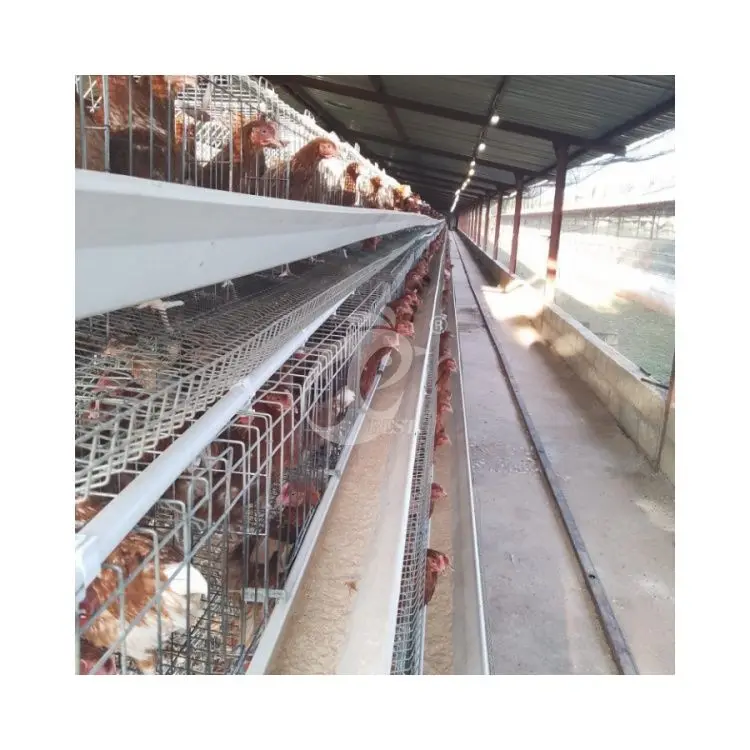 Alibaba.com: Drawing Design Poultry Farm Layer Chicken Battery Cages ...