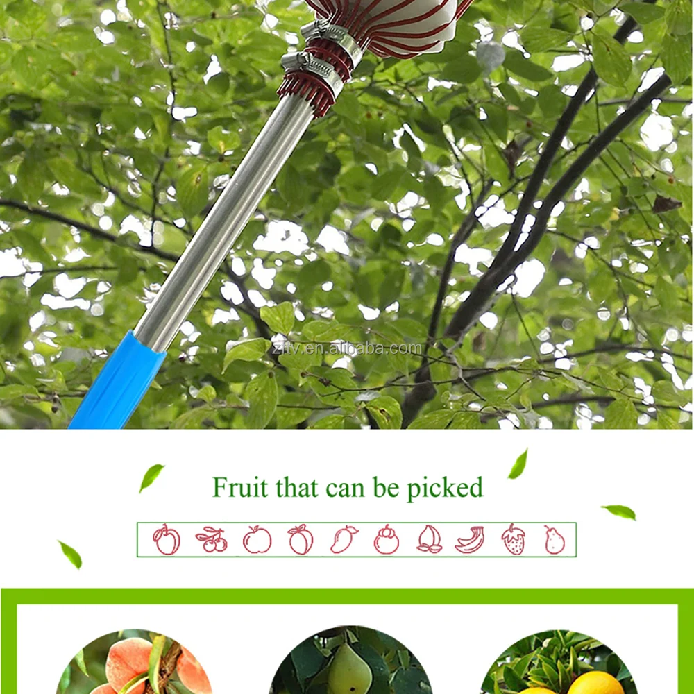 4m Telescopic Fruit Picker - Efficient Fruit Picking Tool