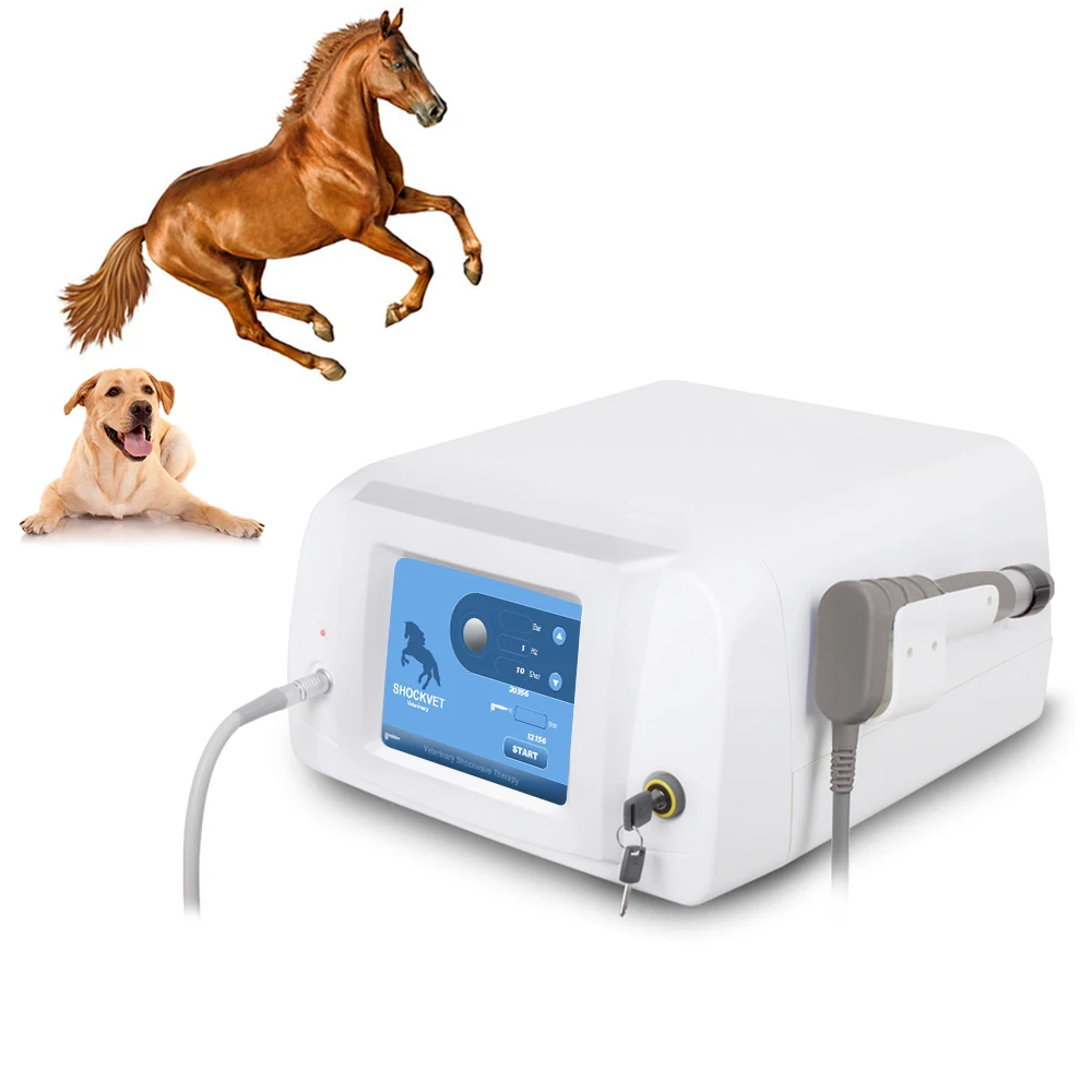 Professional Shockwave Device Veterinary Use Shockwave Therapy Machine ...
