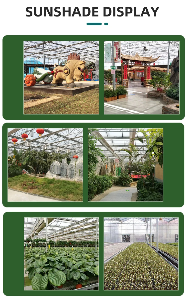 Greenhouse Kyard Photovoltaic Solar Glass Greenhouses Garden Green ...