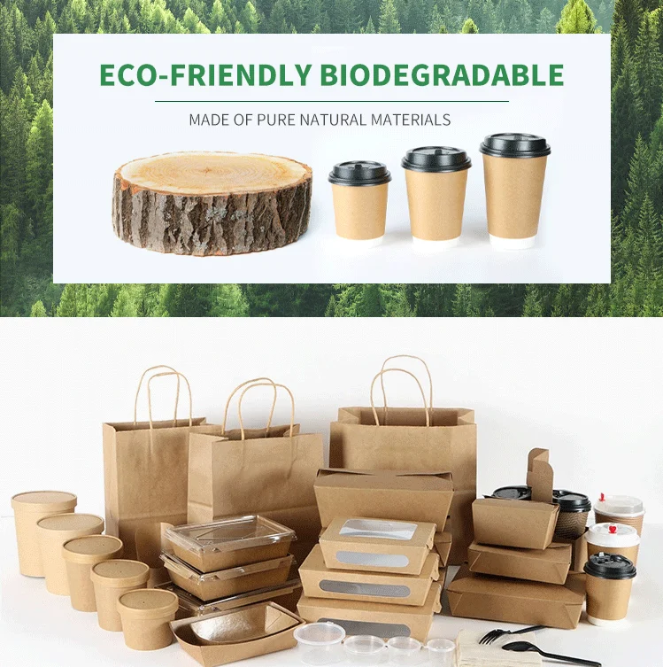 Good Quality Food Paper Box Disposable Biodegradable Packaging Box ...