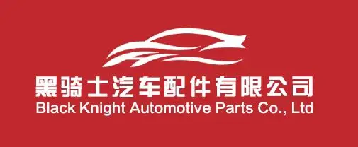 Company Overview - Guangzhou Black Knight Trading Co., Ltd.