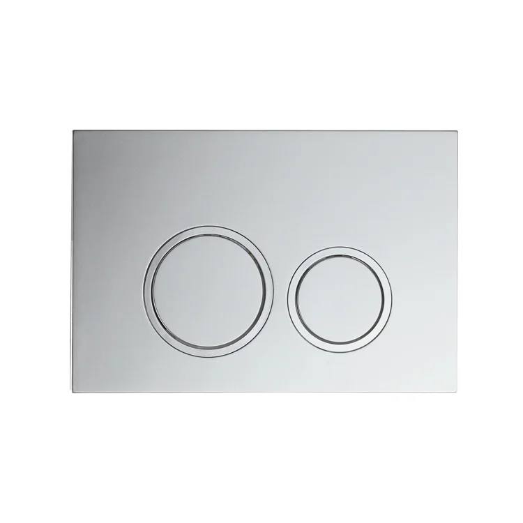 Sandblasted Silver Concealed Cistern Flush Button Panel Wc Dual Flush ...