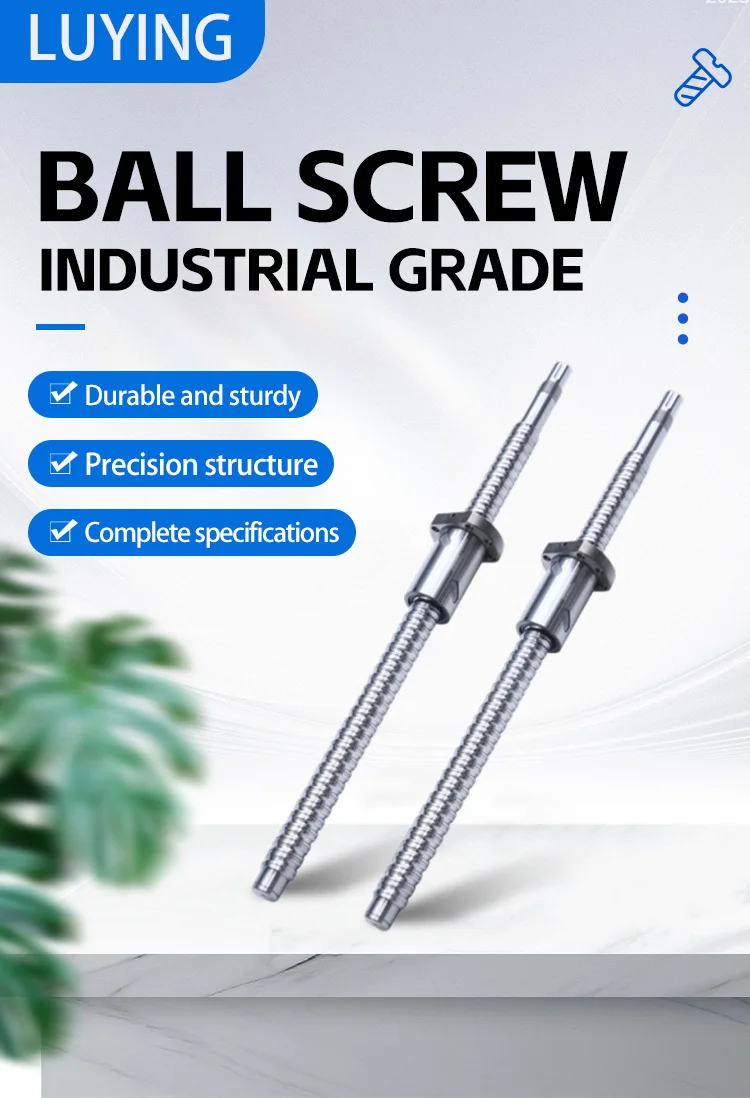 Micro Ball Screw Sfu Dfu Sfs Dfs Sfv Dfv Sf Sft Dft Sfe Sfk Linear ...