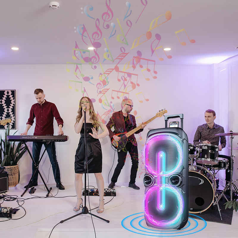 Outdoor Subwoofer Woofer Trolley Portable Tws Wireless Professional ...