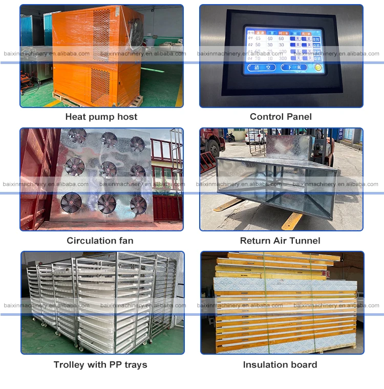 Stevia Processing Machine - Efficient Drying Solutions