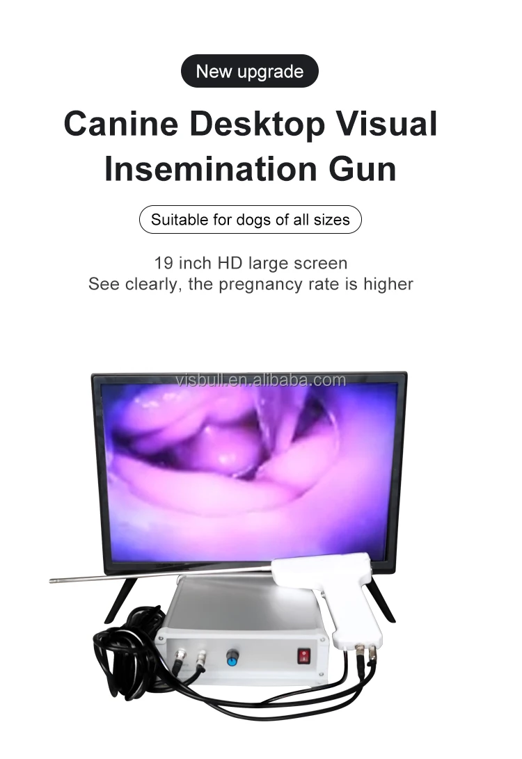 Large Canine Vet Visual Insemination Device - Desktop TCI Machines