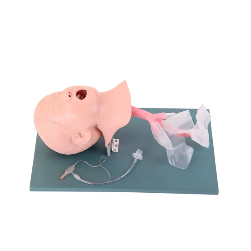 Zhizao Baby Infarction Model - Infant Airway Training Manikin