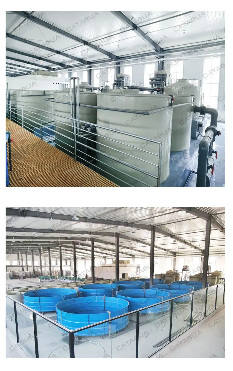CATAQUA Ras Aquaculture Indoor Fish Farm Fish Farming Equipment for ...