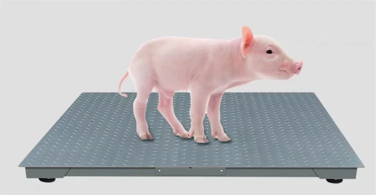 Fence Style Farm Pig Weighing Scale 2ton 3ton - Buy Scale,Animal Scales ...