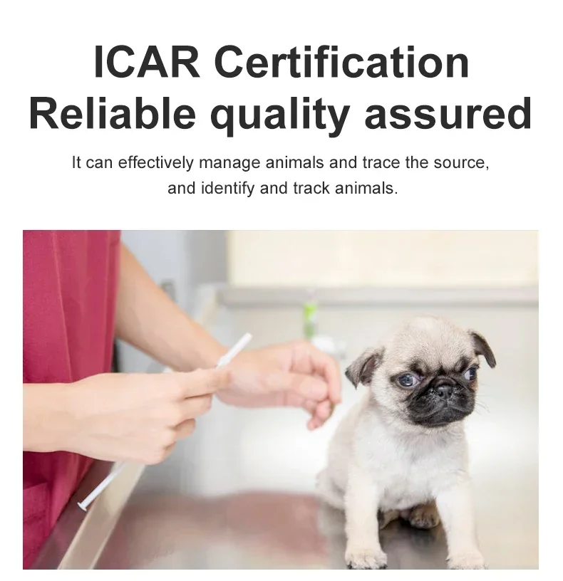ICAR Approved Injectable Cat Dog Pet Microchip 134.2kHz Frequency Mini ...