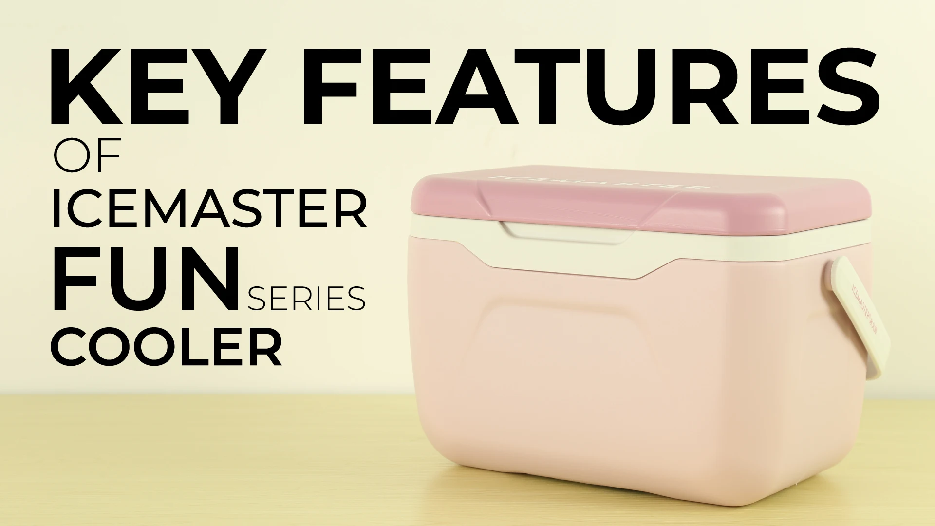 5.5l Cooler Commercial Ice Box Car Refrigerators Camping Cooler Box ...