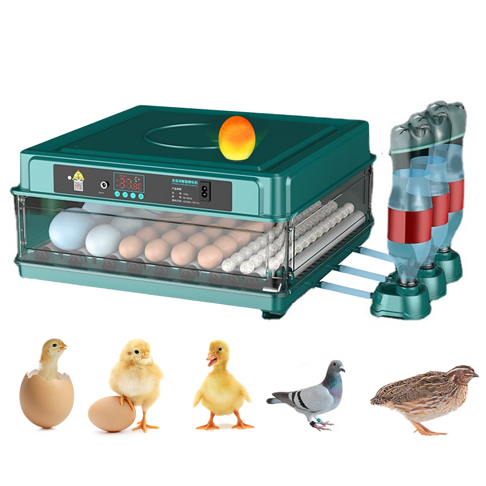38 Eggs Incubator Machine - Efficient Hatching Solutions
