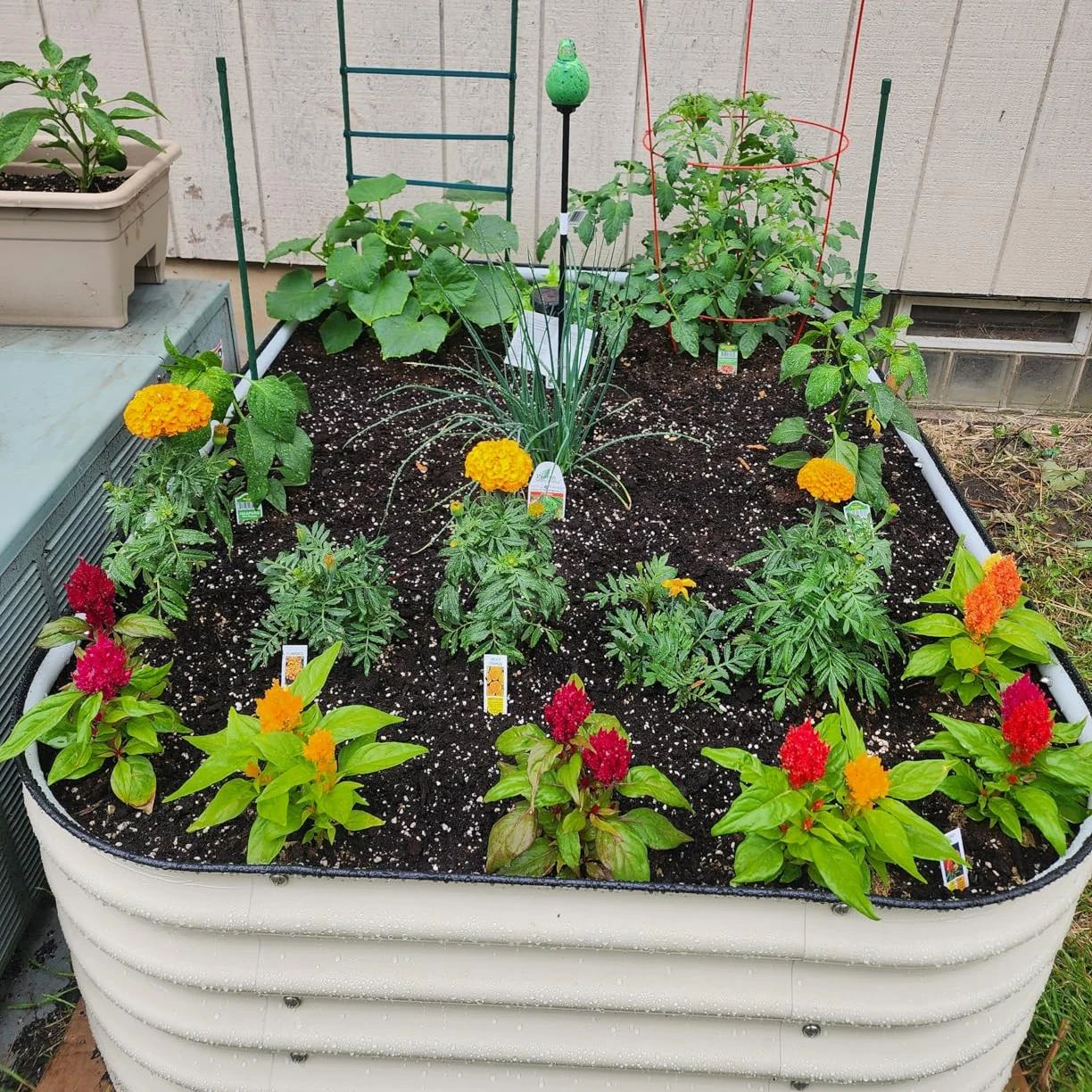 Modular Raised Garden Bed Outdoor Planter Box Steel Garden Bed Square ...