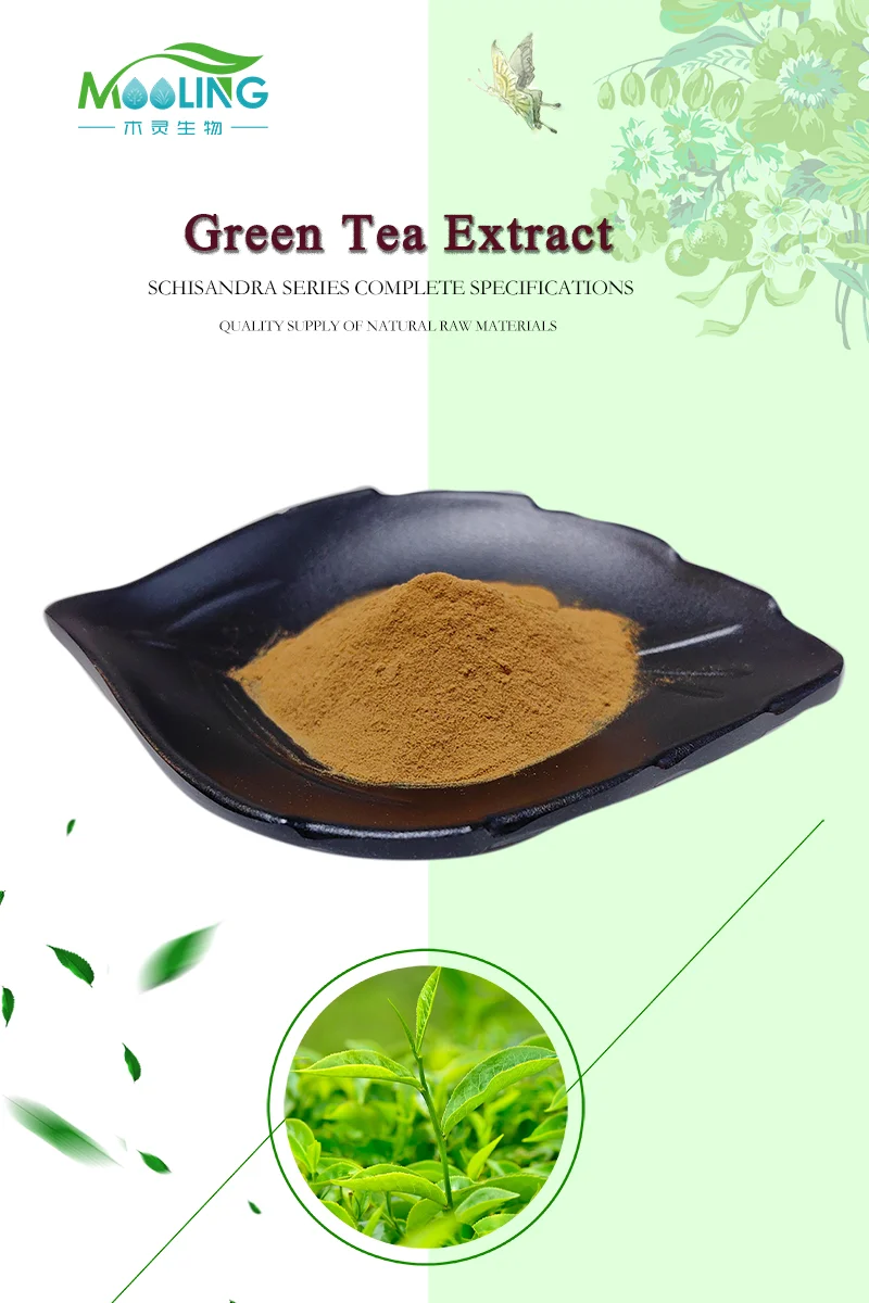 Factory Natural Green Tea Theanine 40% Extract Powder - Buy Natura L ...