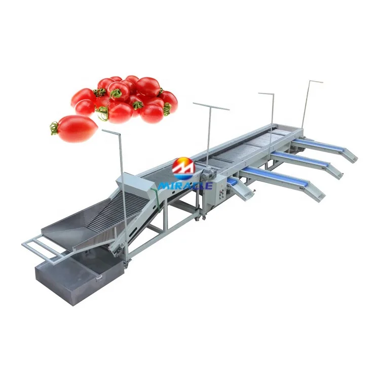 Industrial Sweet Potato Cherry Tomato Sorting Machine Fruits And ...