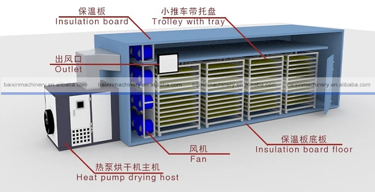 Stevia Processing Machine - Efficient Drying Solutions