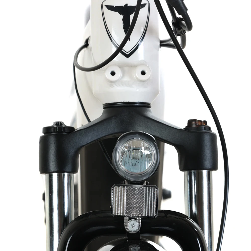 Wholesale Electric Cargo E-Bike for Kids & Families - 2 Seat Bicycle