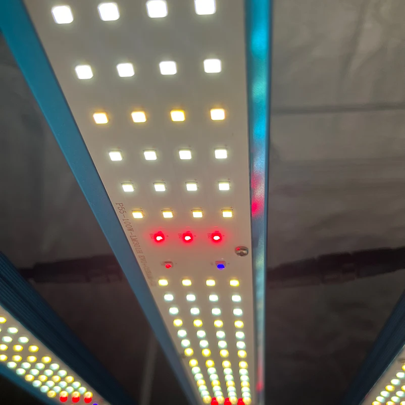 New Arrival 2024 Kingbrite 1000w Samsung Lm301h Evo With Osr 660nm Uv Ir Full Spectrum Led Grow ...