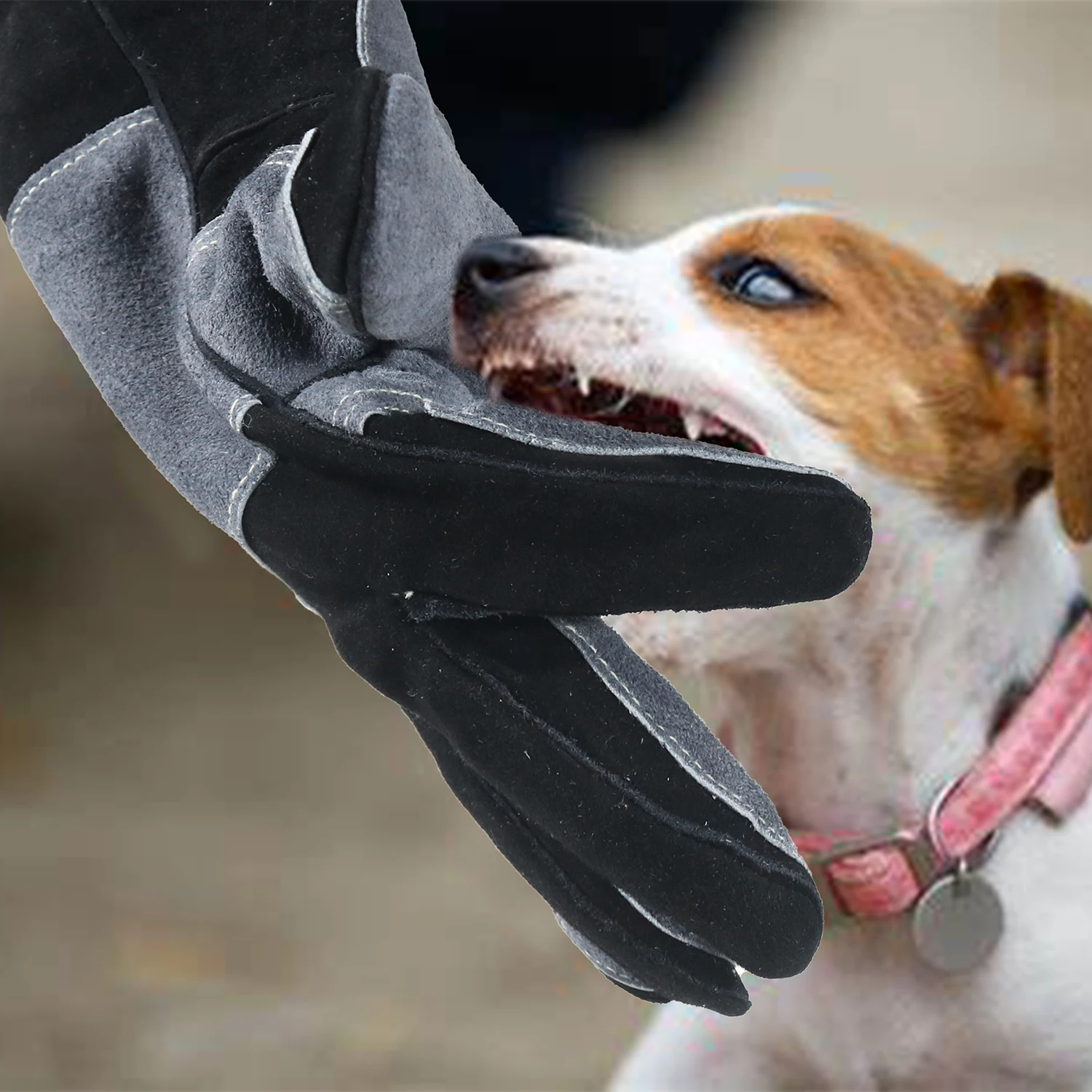 Alibaba.com: PRI Anti Cat Scratch Thick and Long Tear Gloves for Dog ...