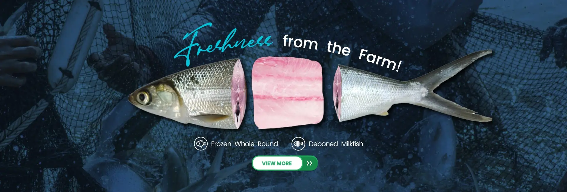 Standard 600 Gram Frozen Deboned Milkfish Rich In Vitamin A Halal ...